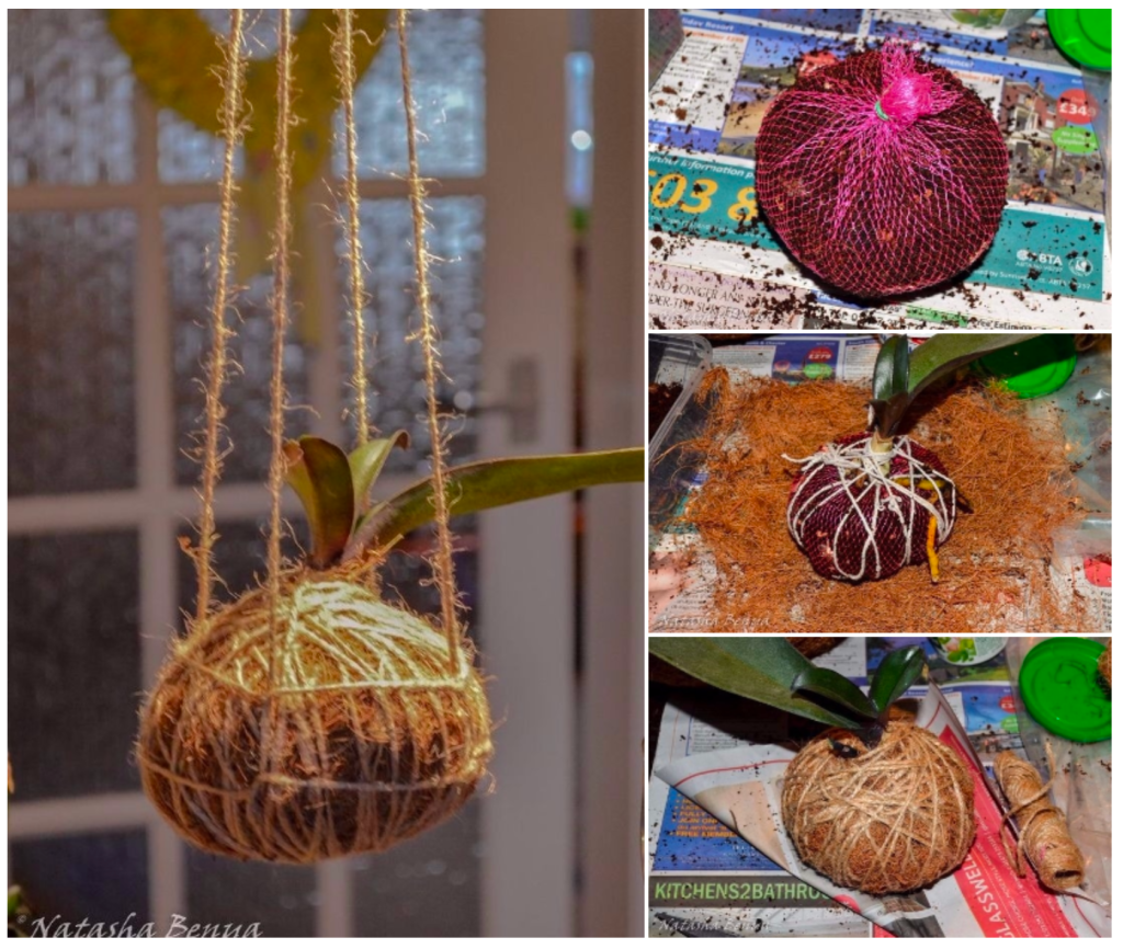 Reusing produce mesh / net bags – ecogreenlove