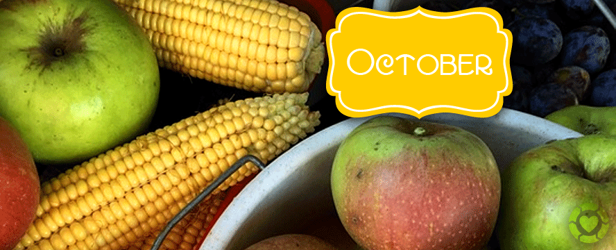 Seasonal Food in October [Infographic] – ecogreenlove