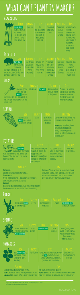 What can I Plant in March? [Infographic] – ecogreenlove