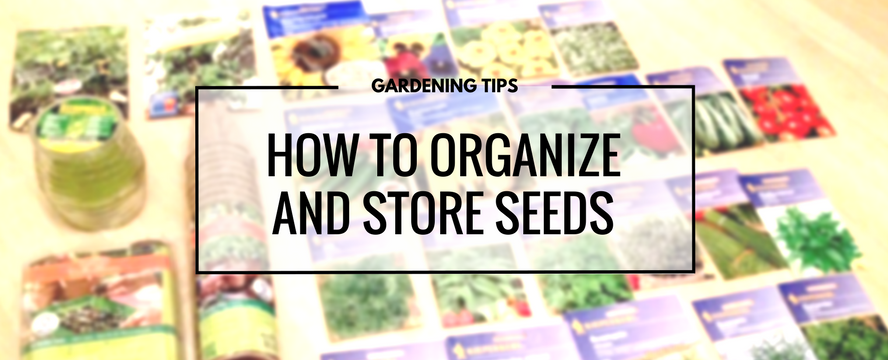 Starting this year’s ecogreenlove garden and how to store seeds ...