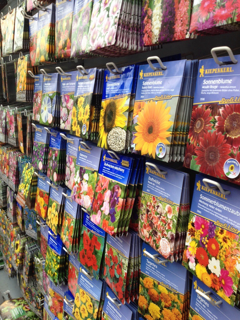 Starting this year’s ecogreenlove garden and how to store seeds ...