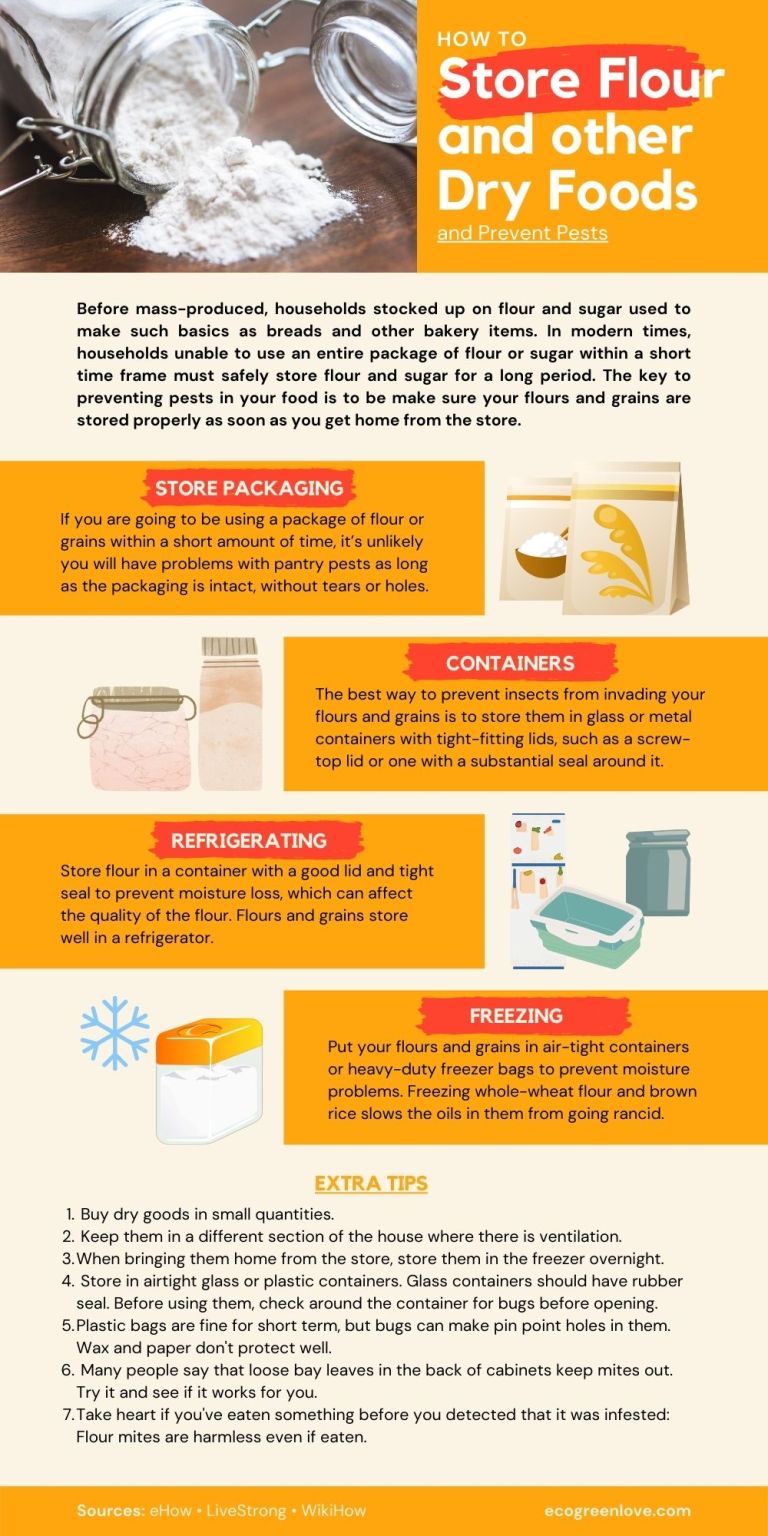 How to store Flour (and other dry foods) and prevent pests – ecogreenlove
