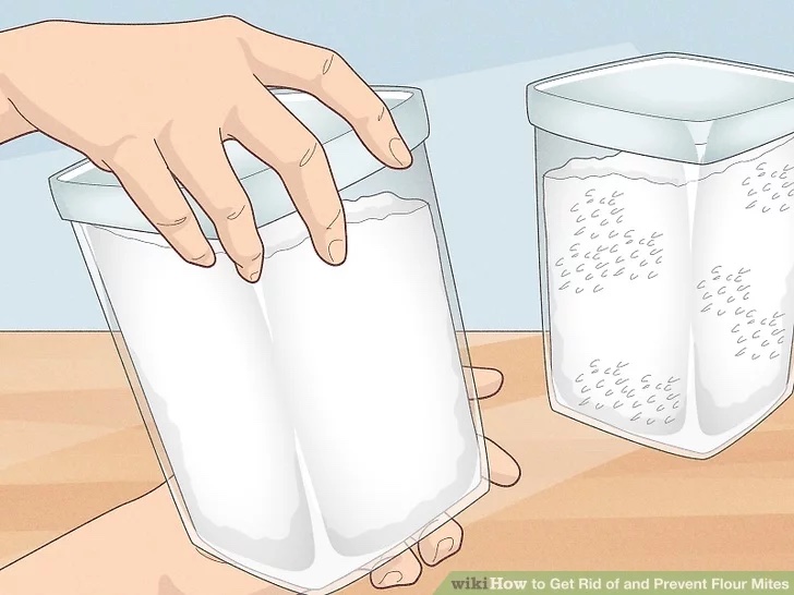 How to store Flour (and other dry foods) and prevent pests – ecogreenlove