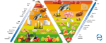 Double Food – Environmental Pyramid model – ecogreenlove