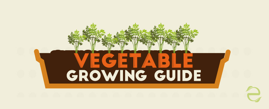 Vegetable Growing Guide [Infographic] – ecogreenlove