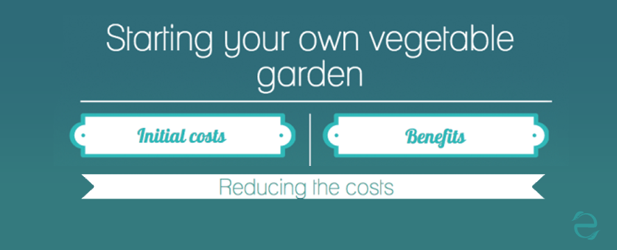 Reducing the costs in Gardening [Infographic] – ecogreenlove