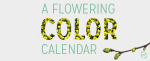 Flowering Color Calendar [Infographic] – ecogreenlove