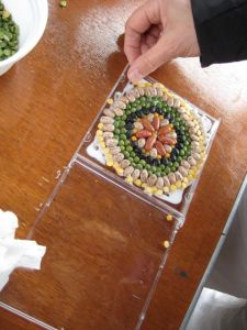 Reusing CD/DVD cases – ecogreenlove