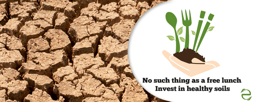 Environmental Dates: World Day to Combat Desertification and Drought ...