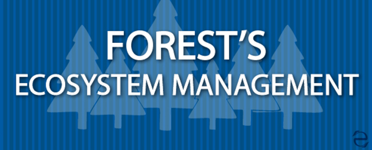 Why preserve Forests and plant Trees? [Infographic] – ecogreenlove