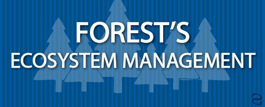 Why preserve Forests and plant Trees? [Infographic] – ecogreenlove