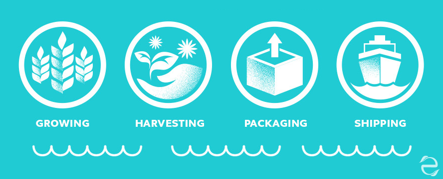 The Growing Global Water Footprint [Infographic] – ecogreenlove