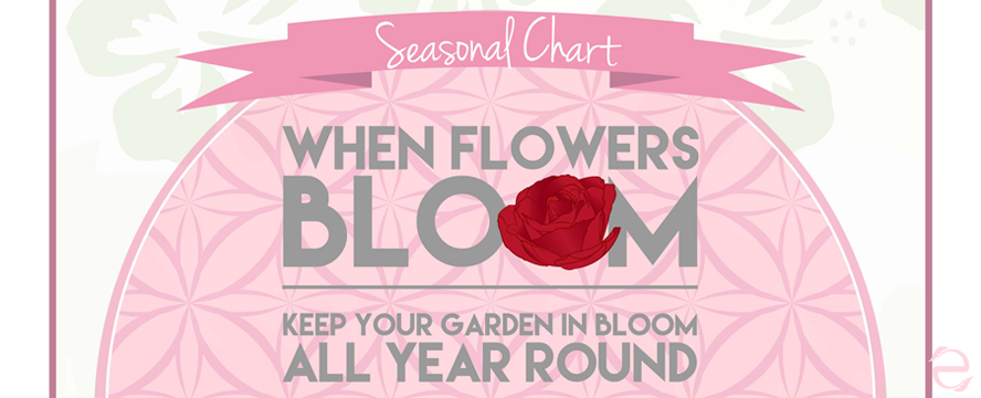 Guide for Colourful Gardens all year round [Infographic] – ecogreenlove