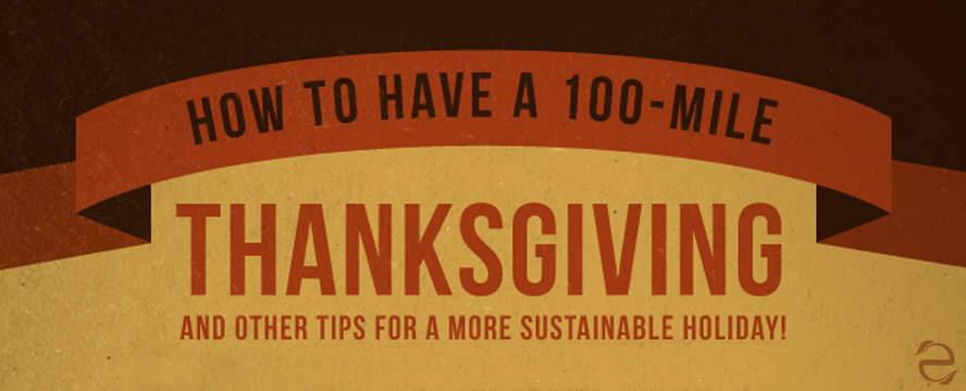 Sustainable Thanksgiving [Infographic] – ecogreenlove