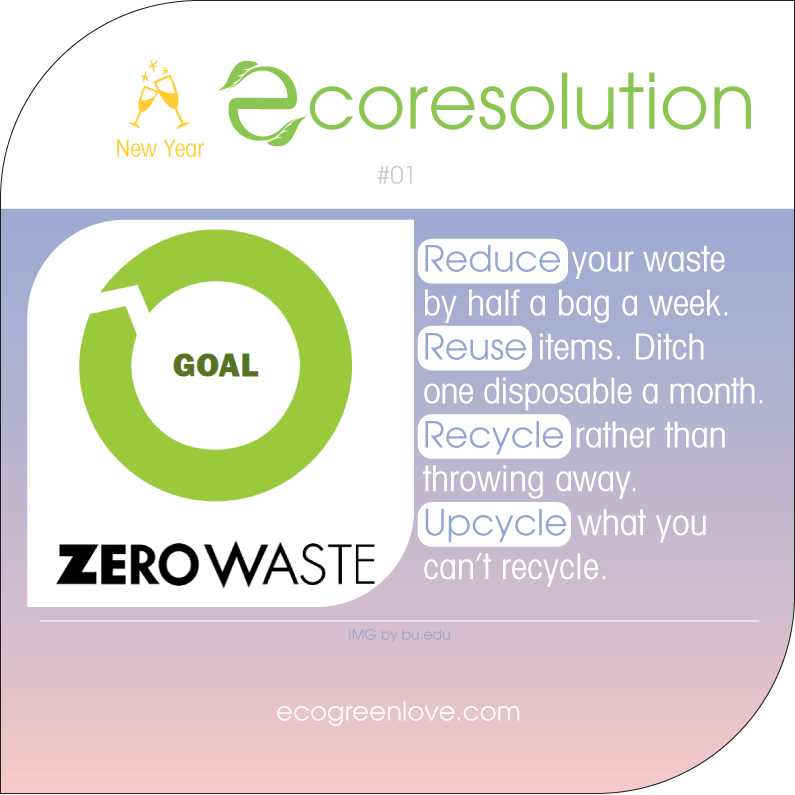 7 Eco Resolutions – ecogreenlove