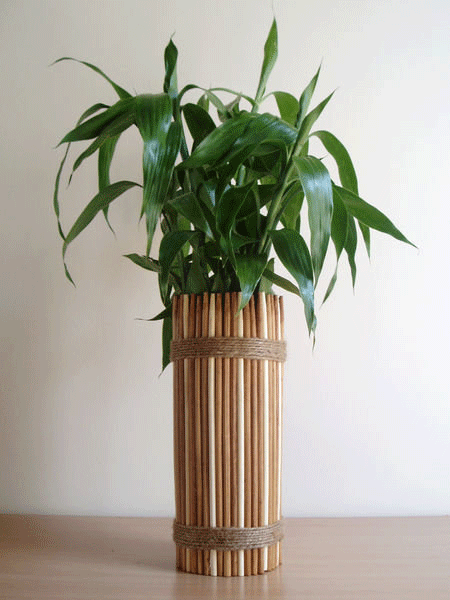 Reusing disposable Chopsticks – ecogreenlove