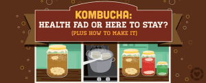 Kombucha [Infographic + Recipe] – ecogreenlove