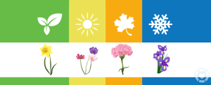 Seasonal Flowers [Hand Drawn Infographic] – ecogreenlove