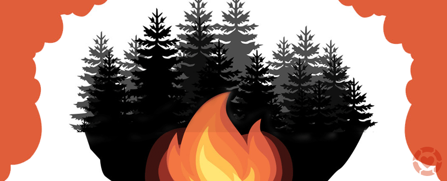 The Deadliest Forest Fires of All Time [Infographic] – ecogreenlove