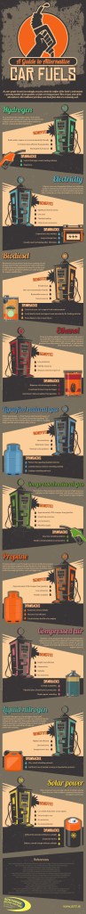 Guide to Alternative Car Fuels [Infographic] – ecogreenlove