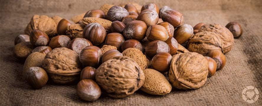 The ultimate Guide to Nuts [Infographic] – ecogreenlove