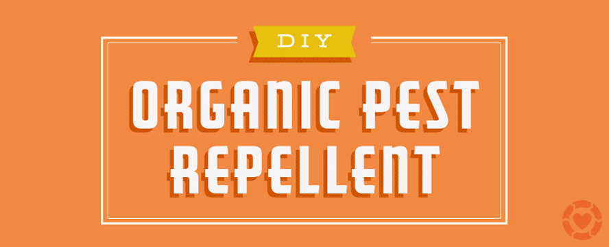 DIY Organic Pest Repellant [Infographic] – ecogreenlove