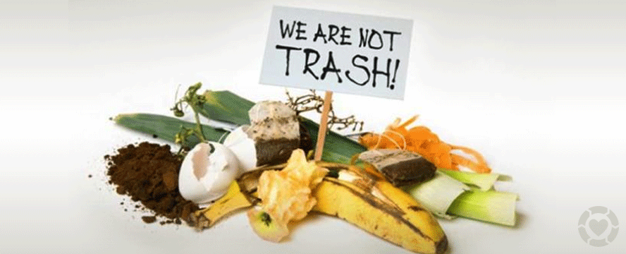 Simple guide to Composting [Infographic] – ecogreenlove