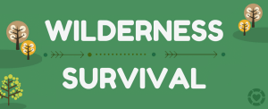 Surviving in Wilderness [Infographic] – ecogreenlove