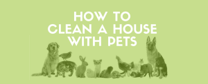 How to clean a House with Pets [Infographic] – ecogreenlove