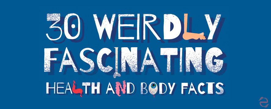 Fascinating Health & Body Facts [Infographic] – ecogreenlove