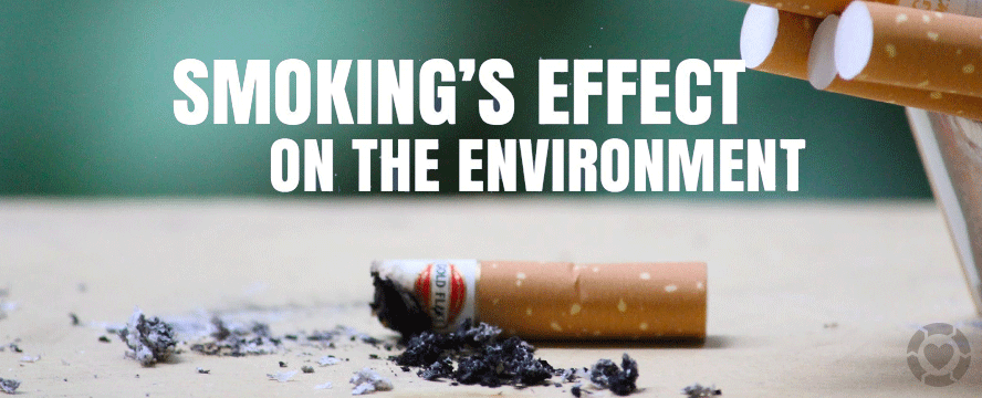 Smoking’s Effect on the Environment [Infographic] – ecogreenlove