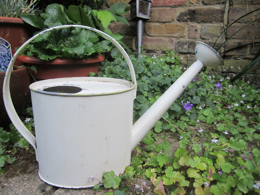 6 Essential Tools for Gardeners – ecogreenlove