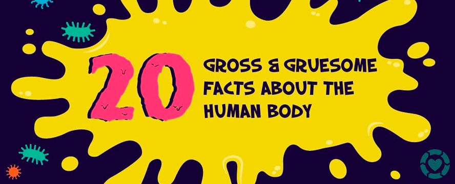 Gross & Gruesome Facts about the Human Body [Infographic] – ecogreenlove
