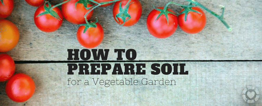 How to prepare Soil for a Vegetable Garden – ecogreenlove