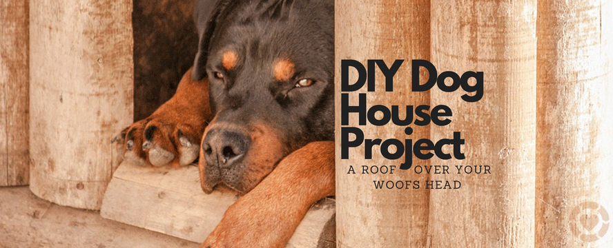 DIY Dog House Project: a roof over your woofs head – ecogreenlove