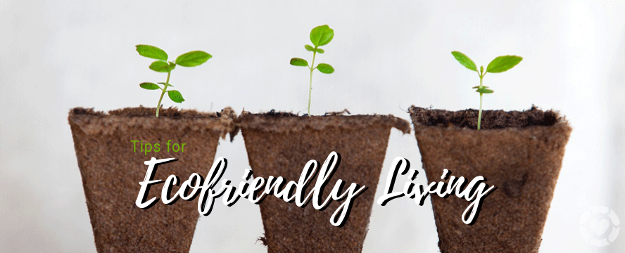 5 Tips for Eco-friendly Living – ecogreenlove