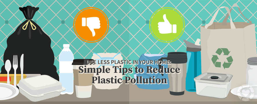 Use Less Plastic in Your Home [Infographic] – ecogreenlove