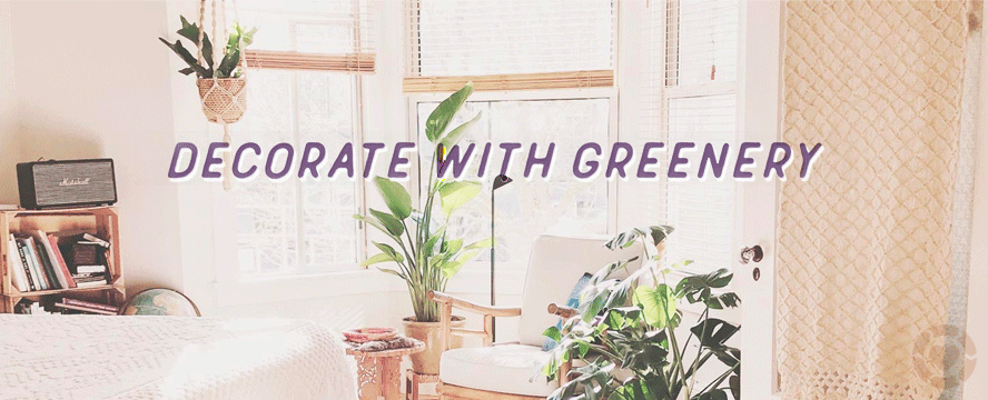 Decorate With Greenery [Visuals] – ecogreenlove