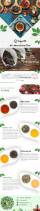All About the Tea [Infographic] – ecogreenlove