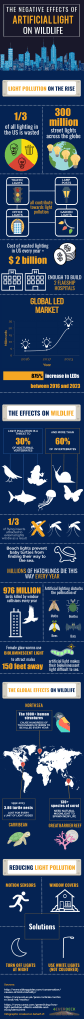 Why Artificial Lighting is bad for the Environment [Infographic ...