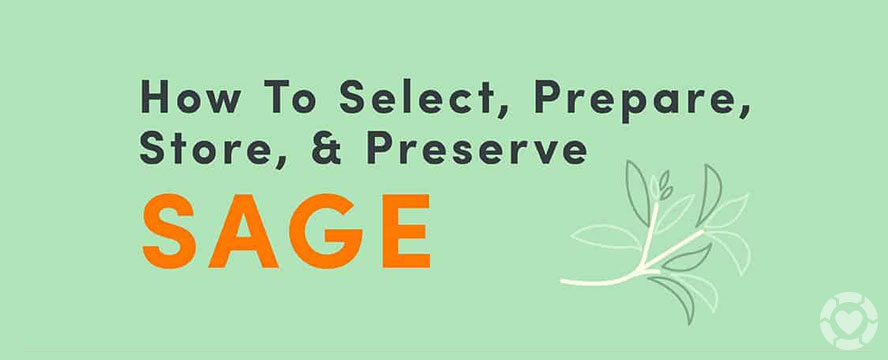 How to select, prepare, store and preserve Sage [Infographic ...