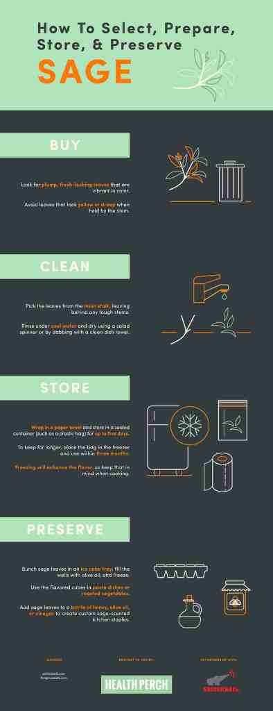 How to select, prepare, store and preserve Sage [Infographic ...