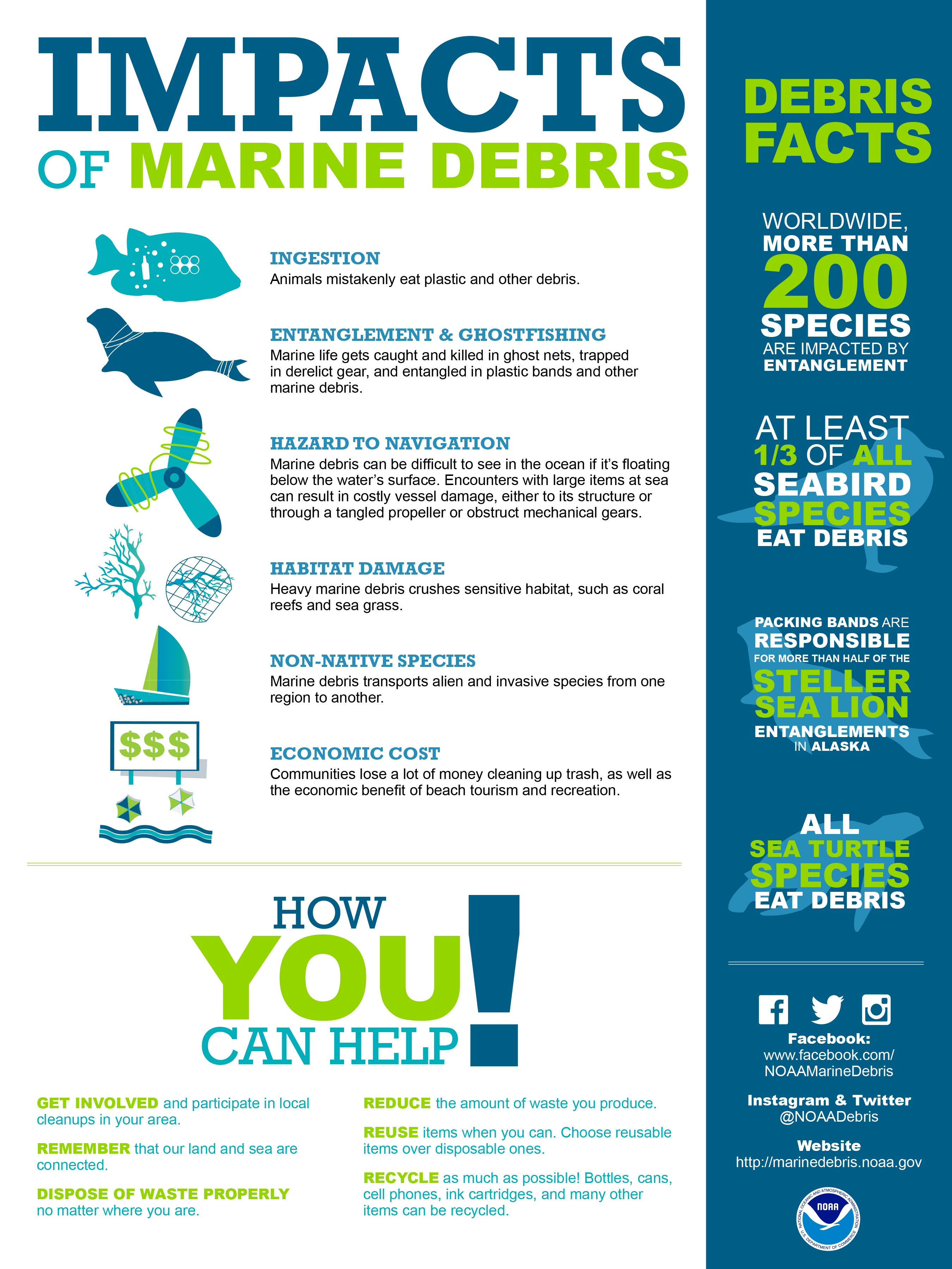 Plastic Pollution and its impact on the Oceans [Infographics ...