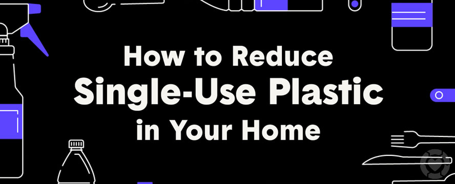 Reduce Single-Use Plastic in your Home [Infographic] – ecogreenlove