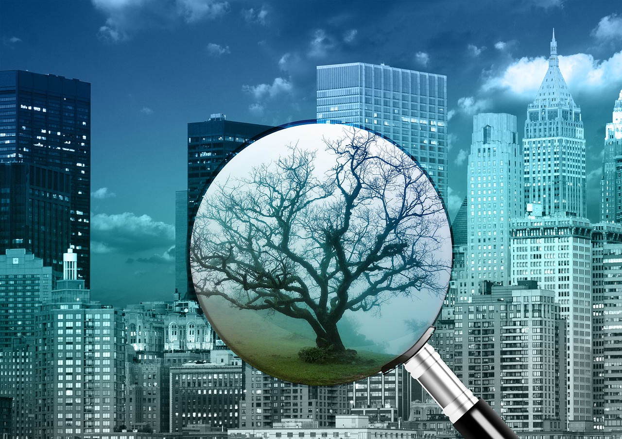 Environmental Crisis: Cities Fighting Plastic and Air Pollution ...