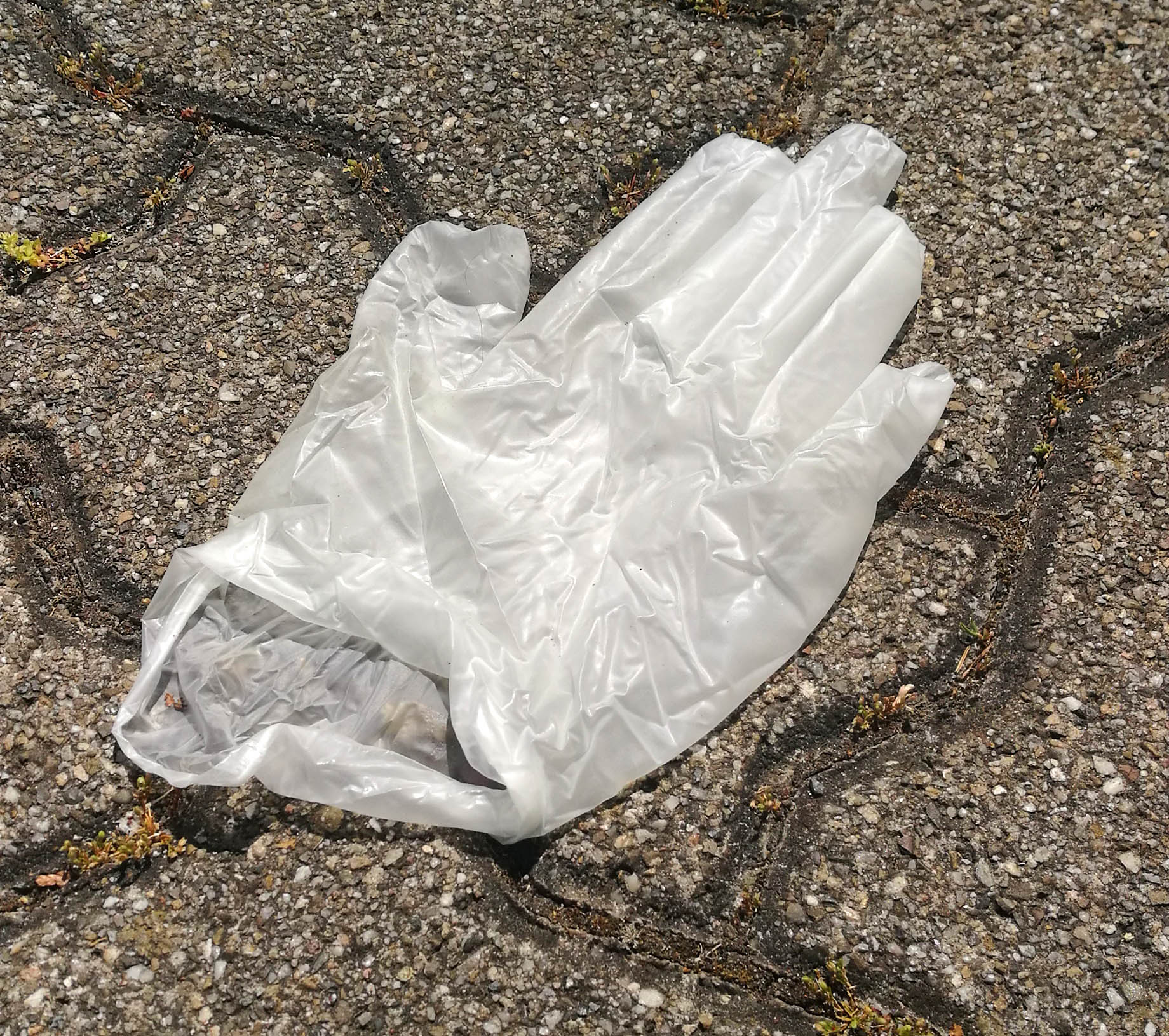 What to do with my used face mask? – ecogreenlove