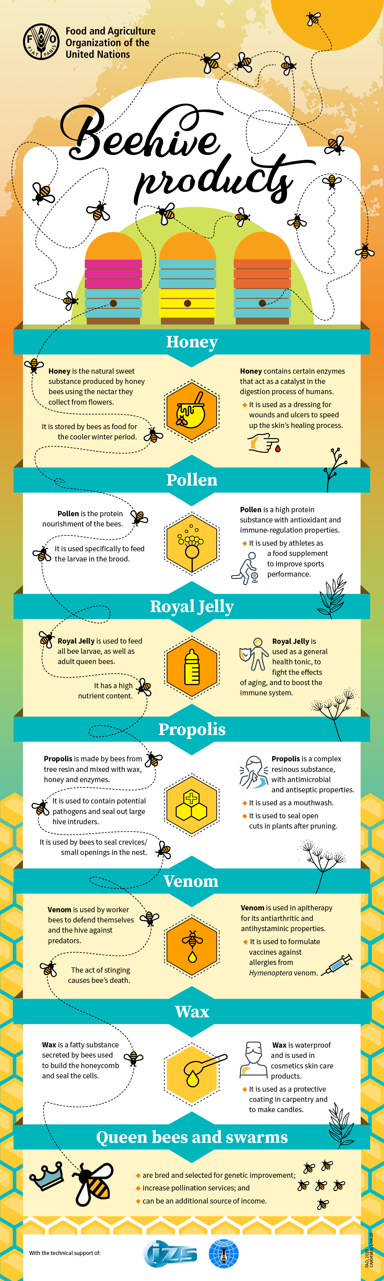 A Bee’s Worth 🐝 [Visuals] – ecogreenlove