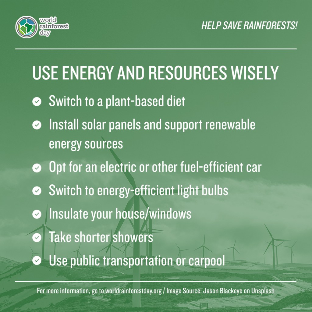 Let’s Save the Rainforest! [Tips] – ecogreenlove