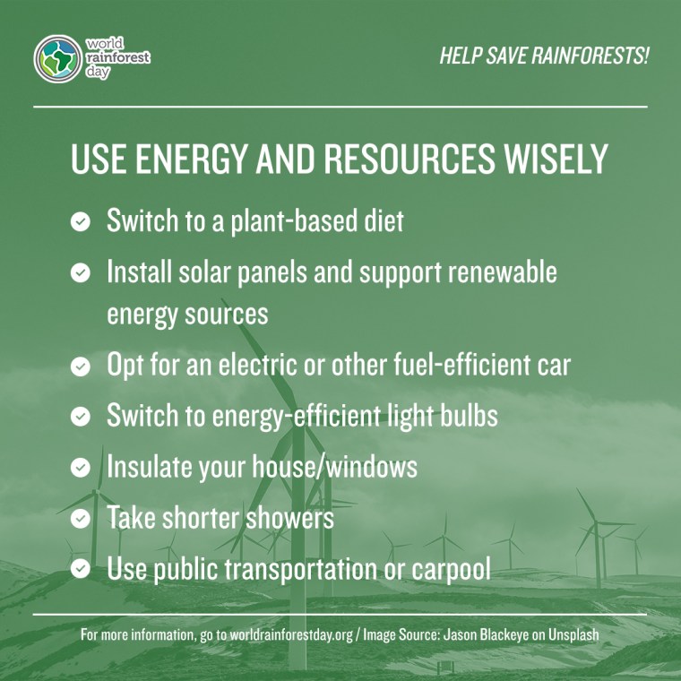 Let’s Save the Rainforest! [Tips] – ecogreenlove