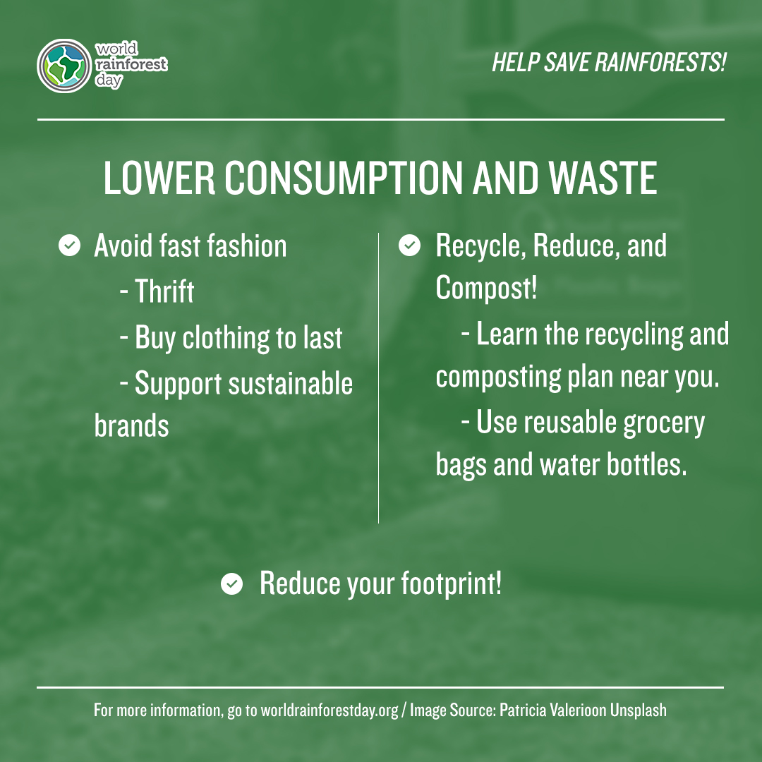 Let’s Save the Rainforest! [Tips] – ecogreenlove